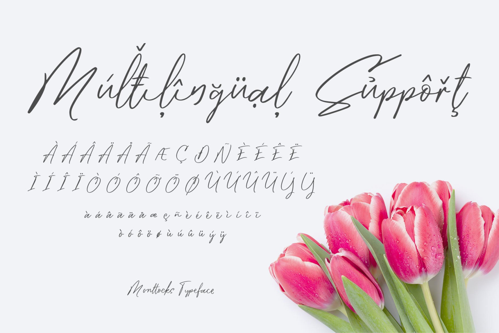 Monttocks Script Font On Yellow Images Creative Store