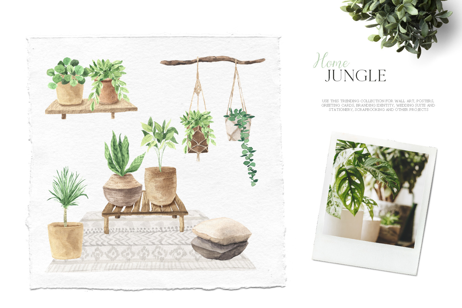 Home Jungle - Boho Plants Set on Yellow Images Creative Store